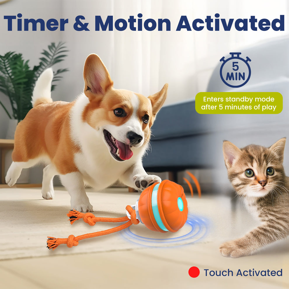 PawsPik® Rope Runner Interactive Squeaky Rechargeable Small Dog Ball