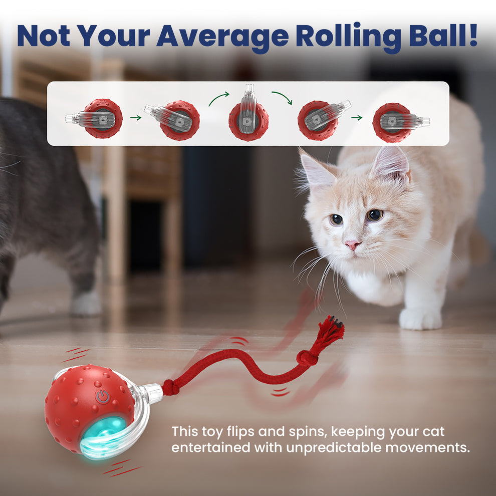 PawsPik® Cat Toy Chirp & Chase Motion Activated Cat Ball with LED Ligh