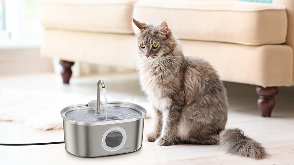 PawsPik® SS-01 Dog & Cat Water Fountain Made with Stainless Steel