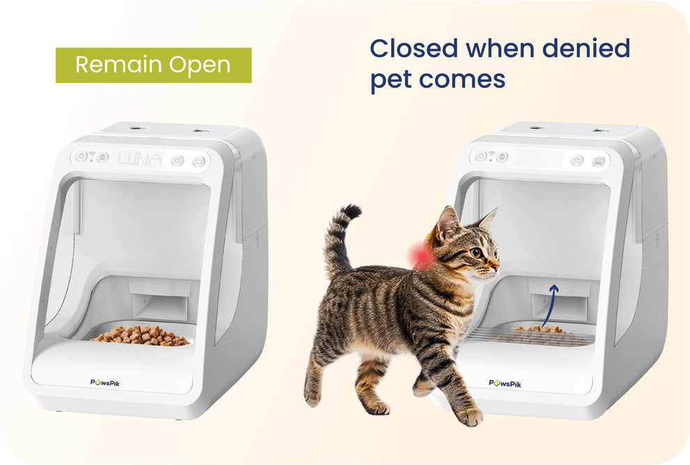 PawsPik® Automatic Microchip RFID Pet Feeder