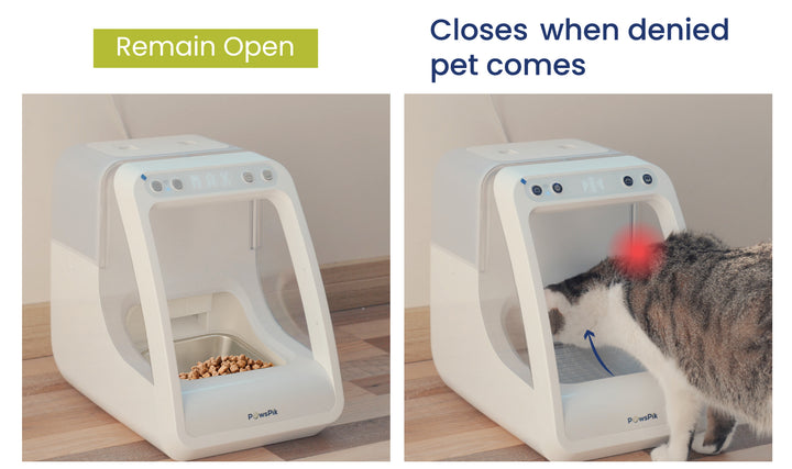 PawsPik® Automatic Microchip RFID Pet Feeder