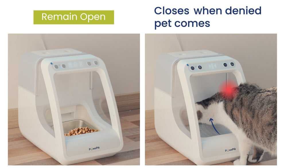 PawsPik® Automatic Microchip RFID Pet Feeder