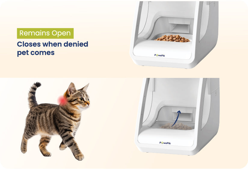 PawsPik® Automatic Microchip RFID Pet Feeder