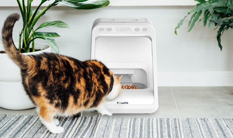 PawsPik® Automatic Microchip RFID Pet Feeder