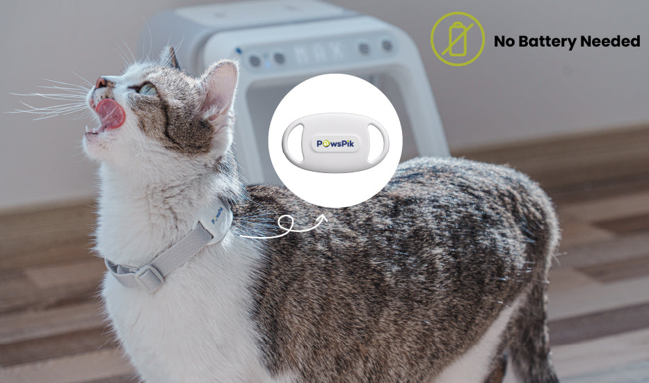 PawsPik® Automatic Microchip RFID Pet Feeder