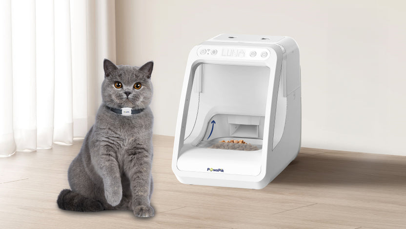 PawsPik® Automatic Microchip RFID Pet Feeder
