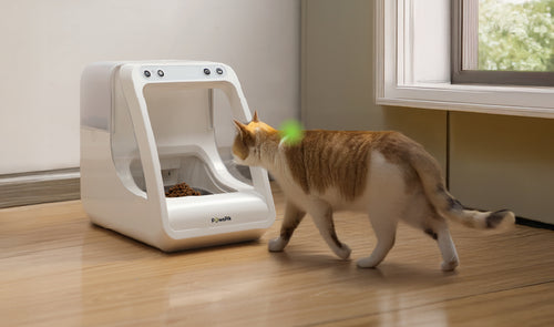 PawsPik® Automatic Microchip RFID Pet Feeder