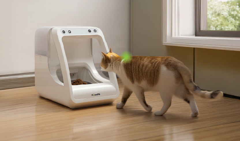 PawsPik® Automatic Microchip RFID Pet Feeder