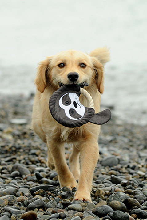 PawsPik® Dog Toy Flying Disc Tough 2 in 1 Tug-of-War