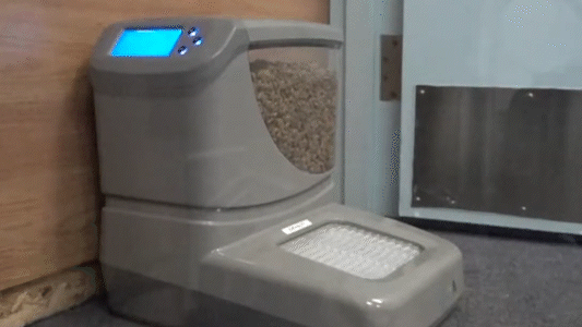 RFID Automatic Pet Feeder for Cats & Dogs | PawsPik PortionPro Rx
